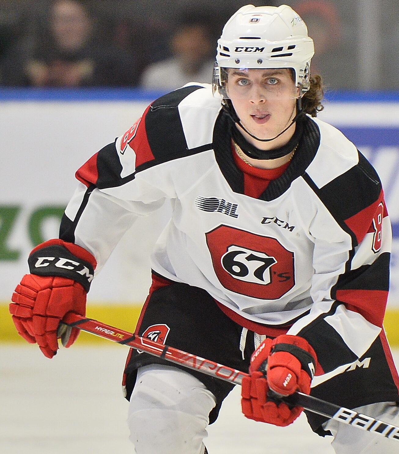 Frankie Marrelli - PuckPreps